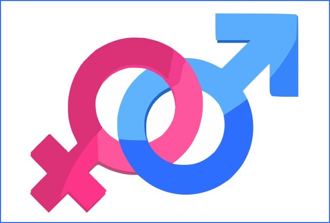 Masculino y femenino - Escritores.org - Recursos para escritores